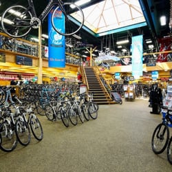 United Cycle - Edmonton, AB, Canada - Yelp