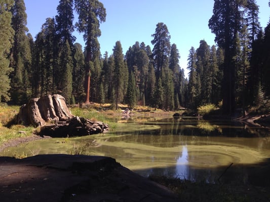 Balch Park Campground - Campgrounds - Springville, CA - Yelp