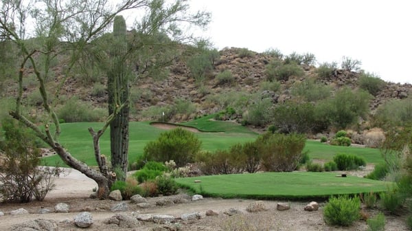 Las Sendas Golf Club - Golf - Mesa, AZ - Yelp